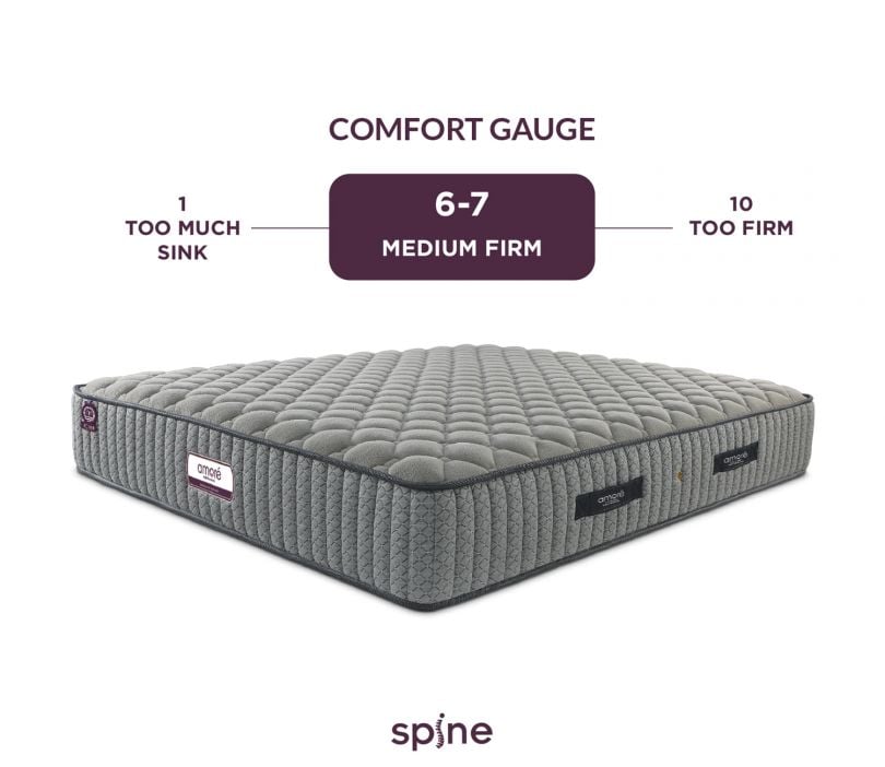 Buy Amore Spine Orthopedic High Resilence Memory Foam Mattress 6 Inch